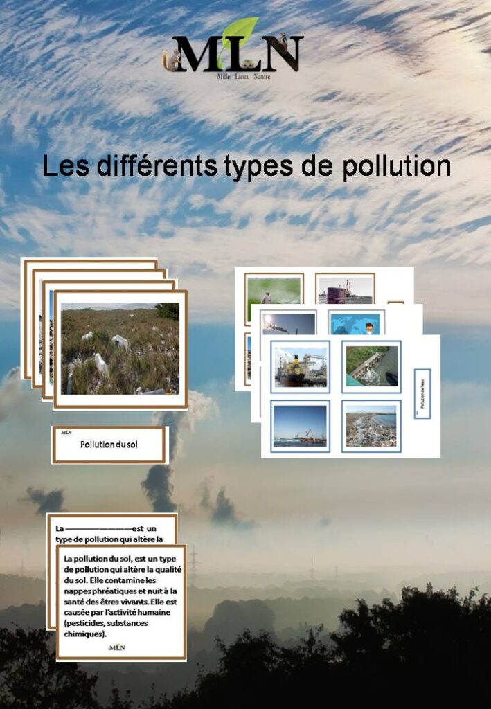 Les différents types de pollution – Mille Lieux Nature