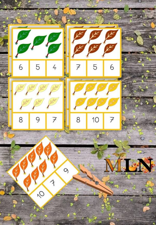 Activités d’automne pour les enfants – Mille Lieux Nature