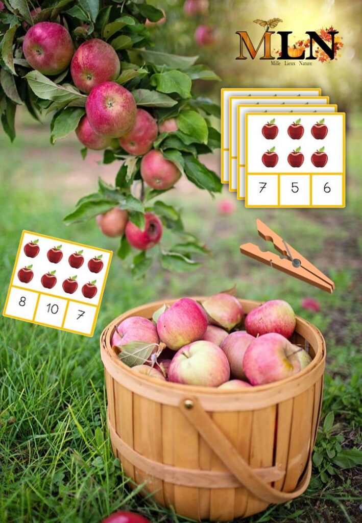 Cartes à pinces pomme – Mille Lieux Nature