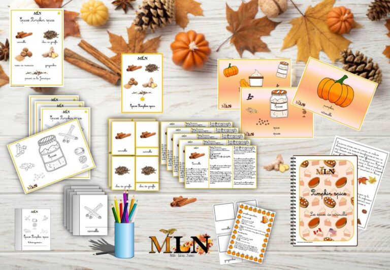 Dossier Pumpkin spice (les épices à citrouille) SCRIPT – Mille Lieux Nature